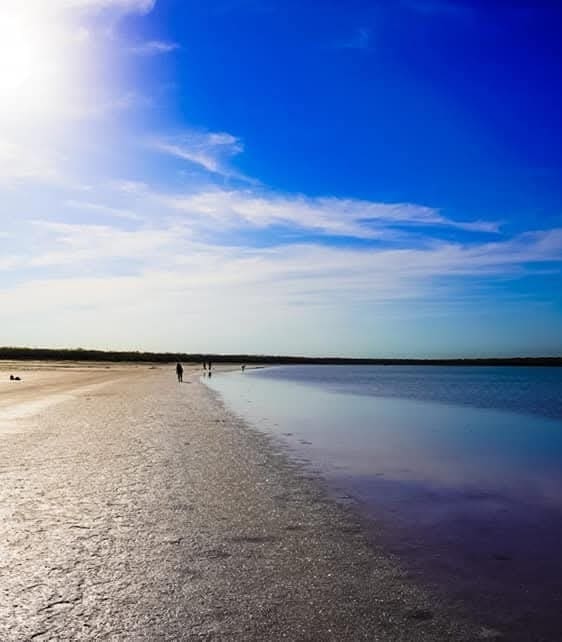 Things to Do in the Rio Grande Valley: Explore the RGV!